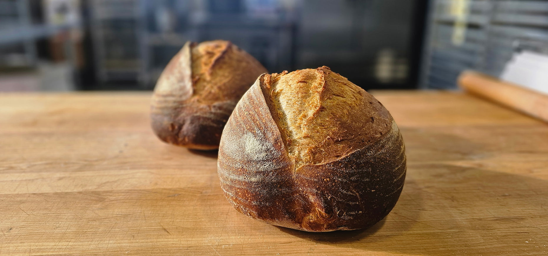 Sourdough Bread- MIDDLETOWN PICKUP ONLY – Perkatory Coffee Roasters